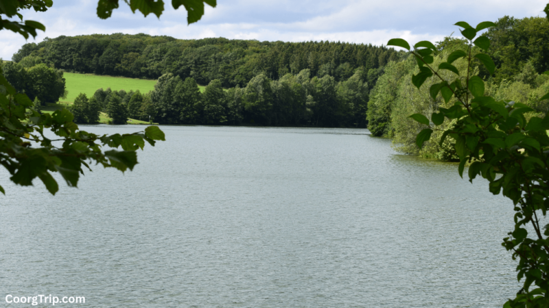 Chiklihole Reservoir: Coorg’s Gem Near Kushalnagar